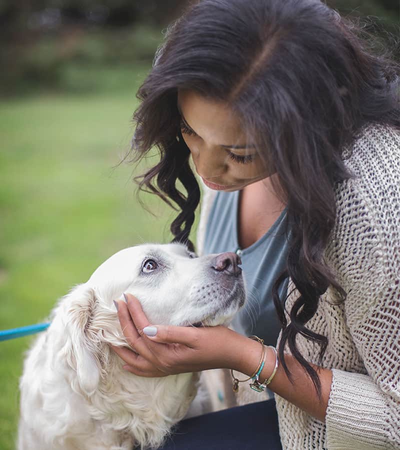 Outward Bound Hounds | Dog walking, pet sitting, overnight sitting ...